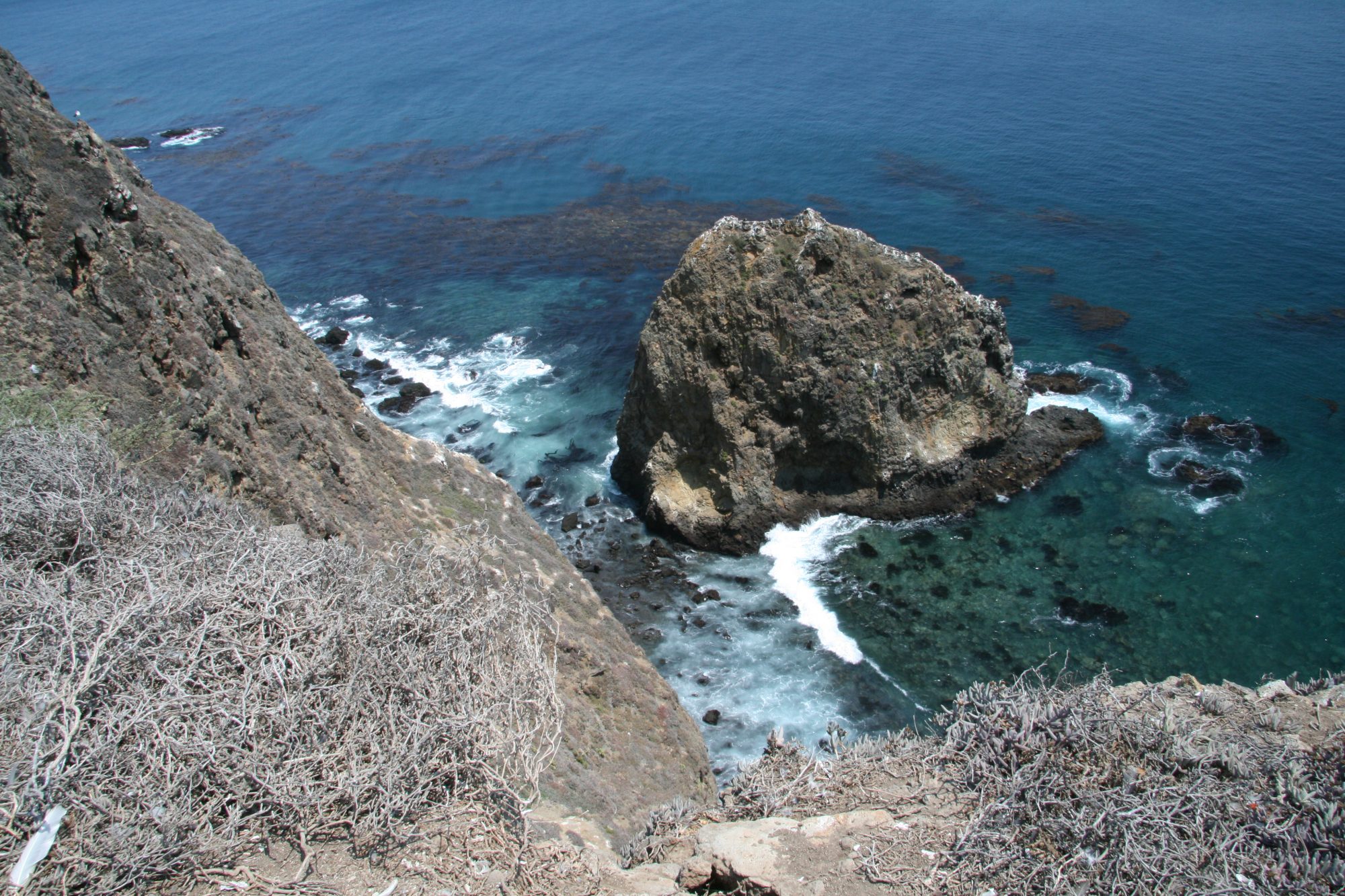Anacapa Island at Channel Islands National Park (10) - Channel Islands ...
