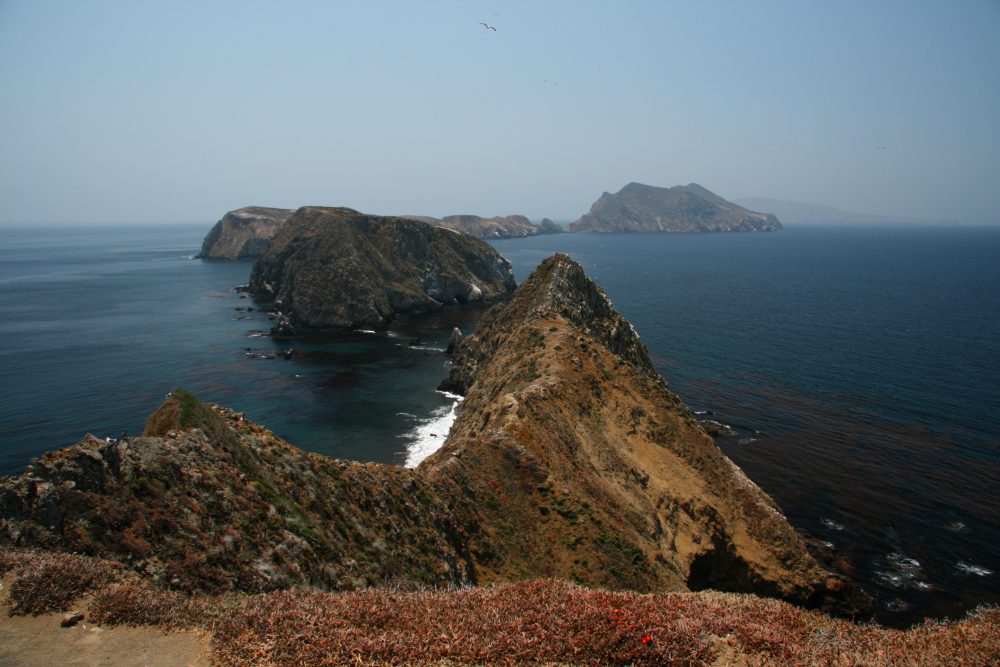 Anacapa Islands, Channel Islands Hiking (1) - Channel Islands Tours
