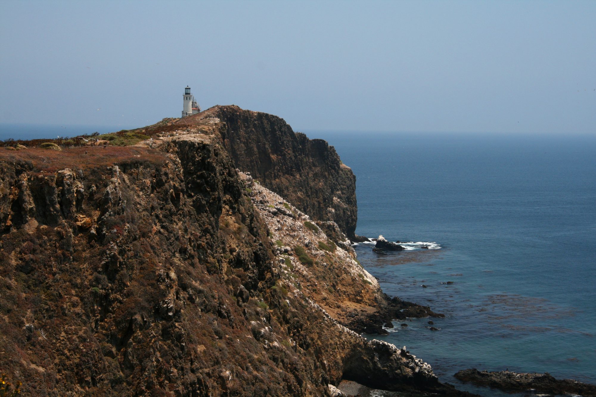 Anacapa Islands, Channel Islands Hiking (16) - Channel Islands Tours