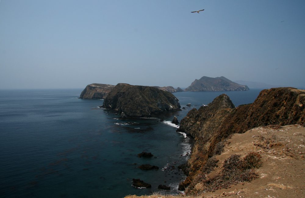 Anacapa Islands, Channel Islands Hiking (22) - Channel Islands Tours