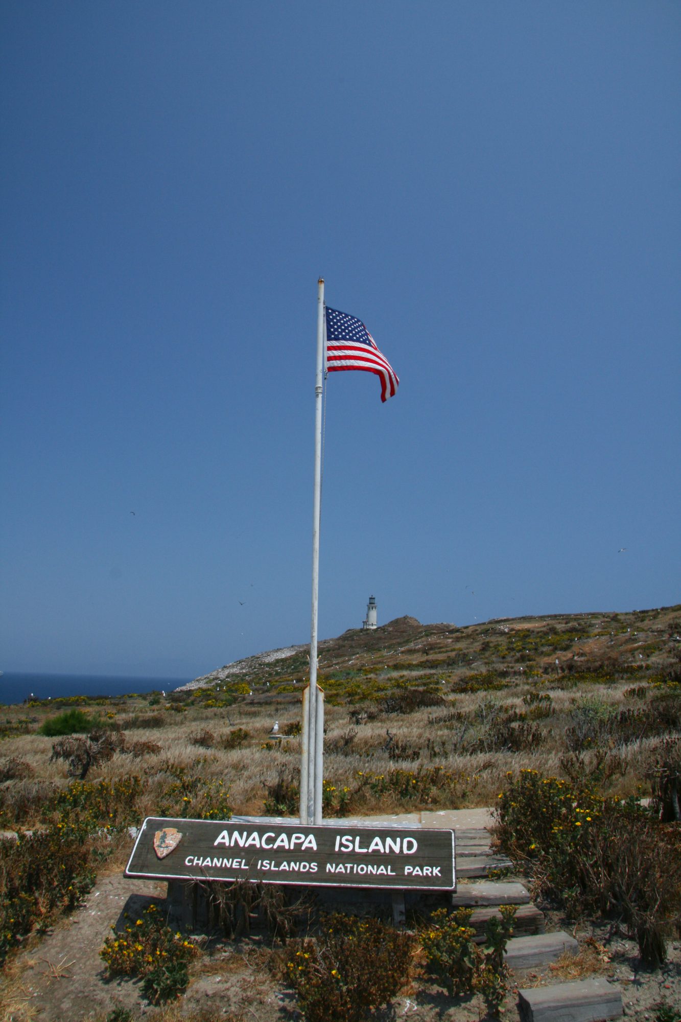Anacapa Islands, Channel Islands Hiking (6) - Channel Islands Tours